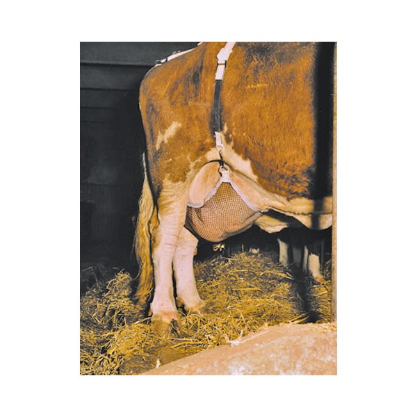 Udder care | Dairy & Bovine Production | SyrVet Canada inc.