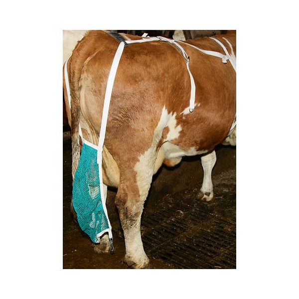 Udder support X-large