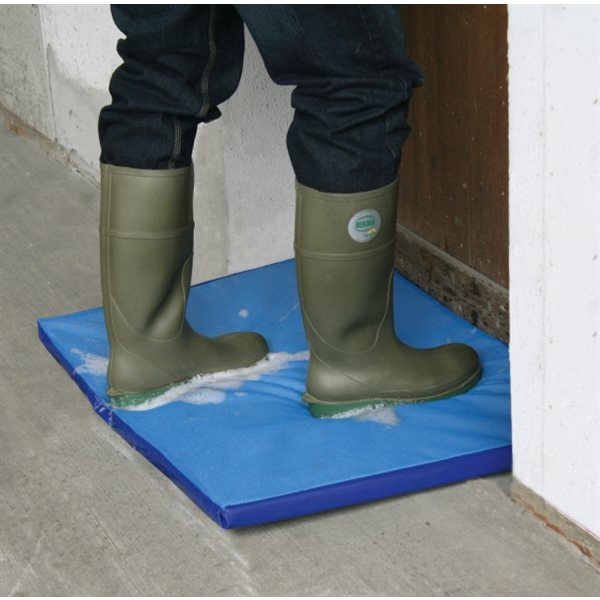 Entrance Disinfection Mat 55 x 45 x 3 cm