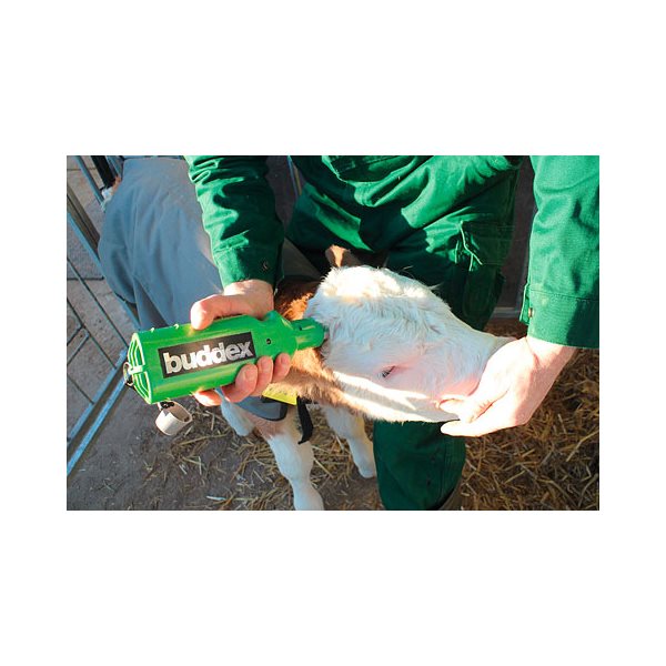 Buddex battery operated dehorner