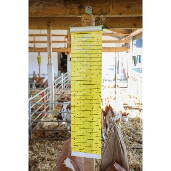 CIT FLYMASTER rouleau attrape-mouches 30 cm x 9 m
